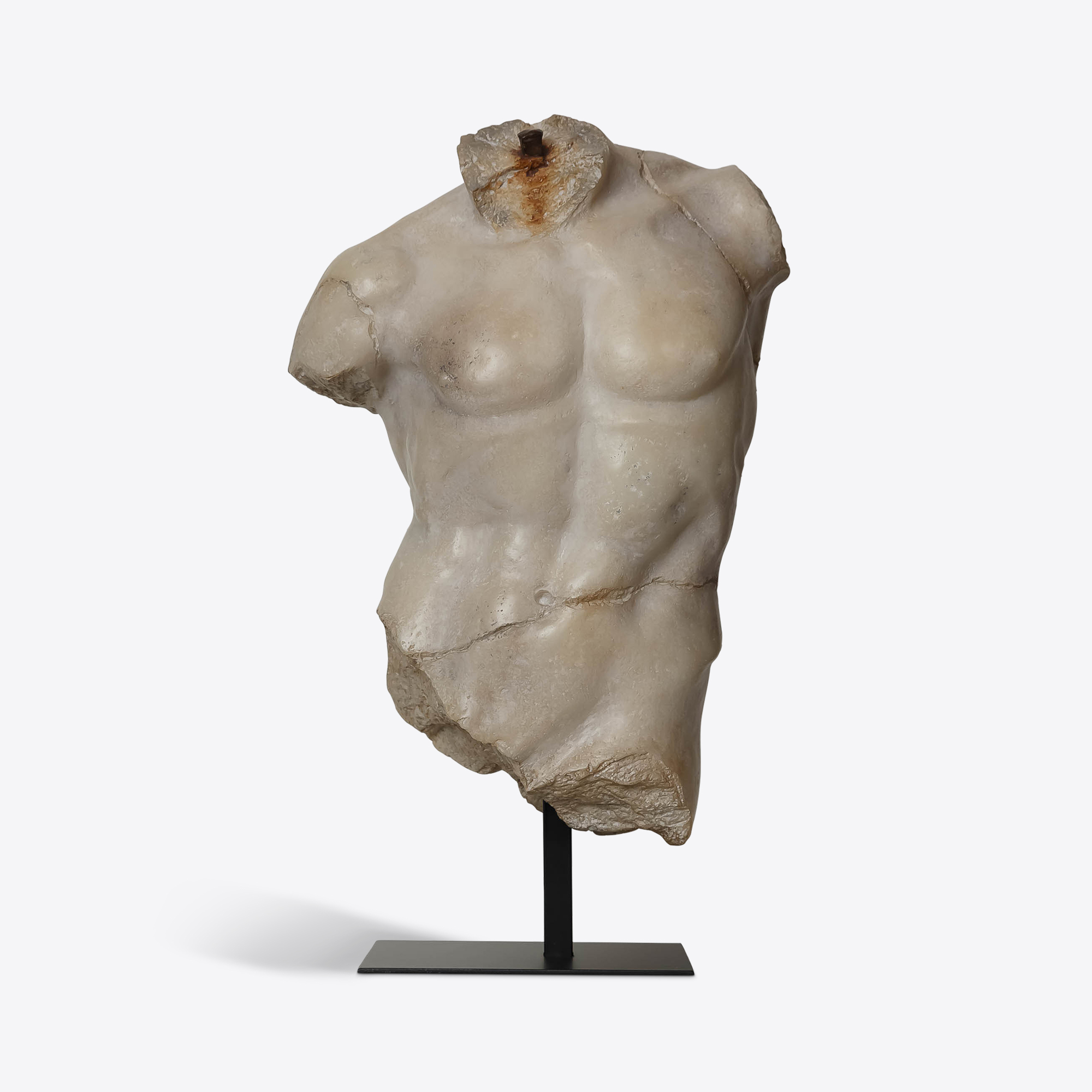 Large Maximillian Torso - male torso sculpture